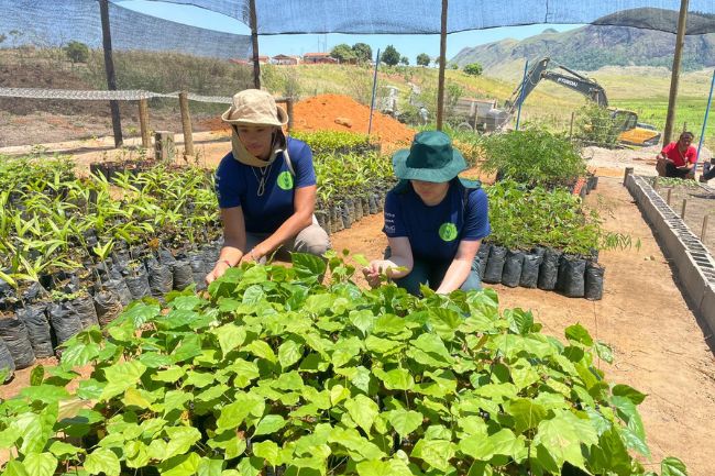 Ministérios Públicos de 15 estados utilizarão a Plataforma Semente do Núcleo de Projetos ...